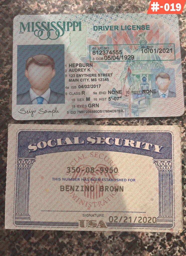 Drivers License and SSN Card Template PSD - DOCUMENT PSD